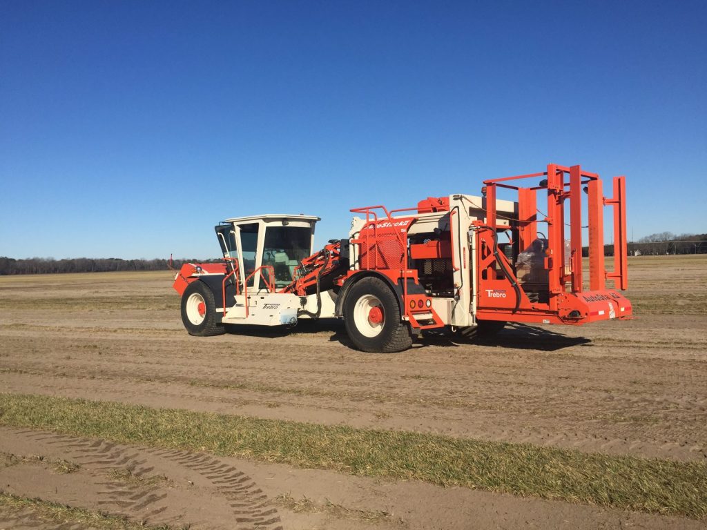 Ordering Sod is Easier Than You Think! - Quantico Creek Sod Farms Ordering Sod is Easier Than You Think! - Quantico Creek Sod Farms