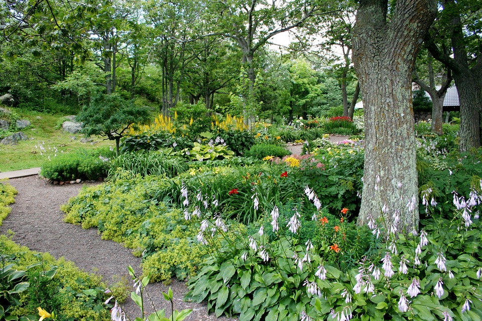 6 Tips to Make An Eco-Friendly Backyard Landscape - Quantico Creek Sod ...