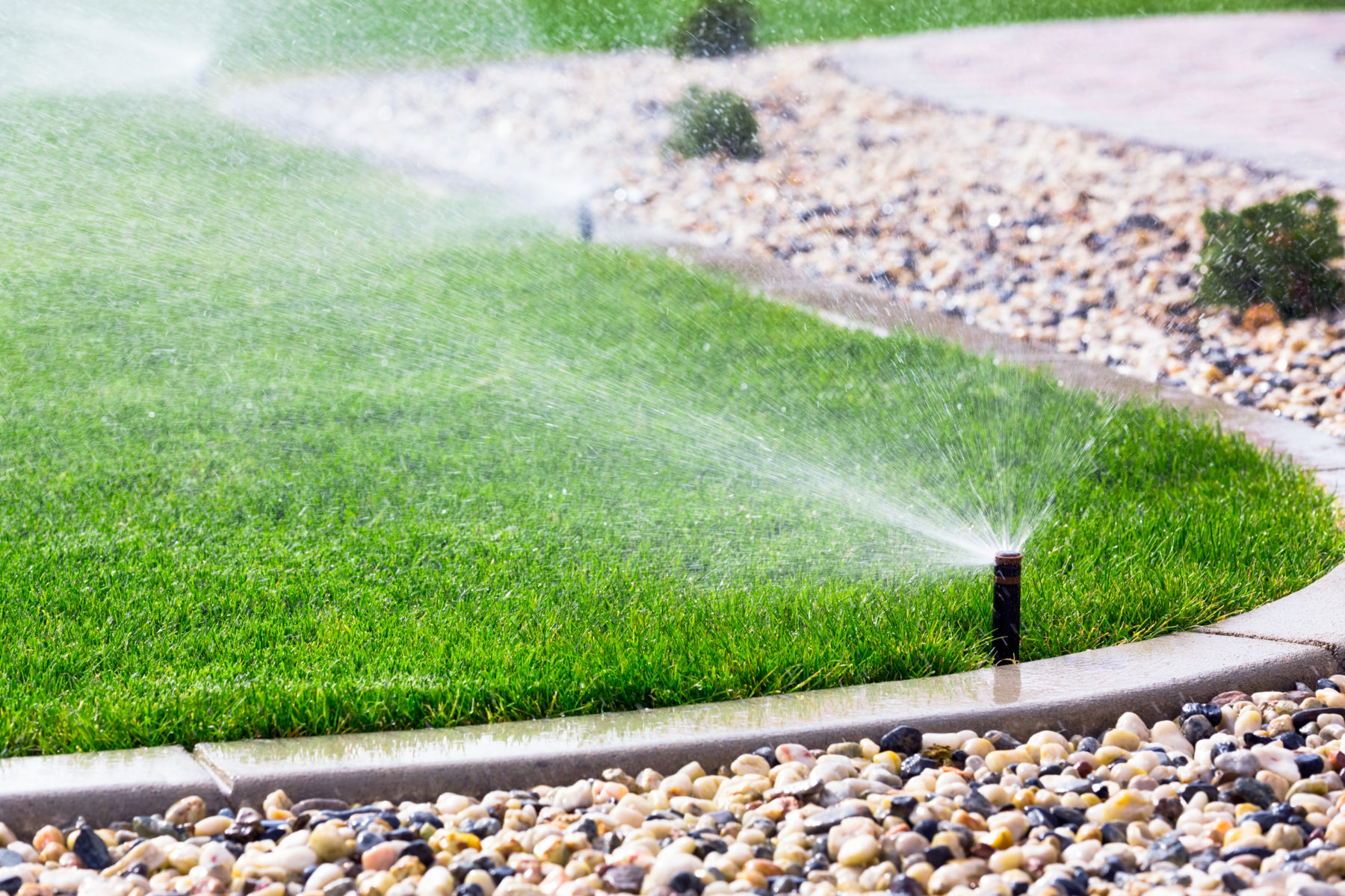 Taking Care of Fresh Sod - Quantico Creek Sod Farms