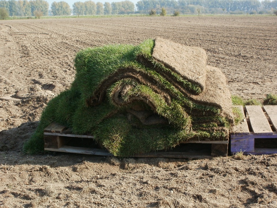 How to Store Your Sod - Quantico Creek Sod Farms