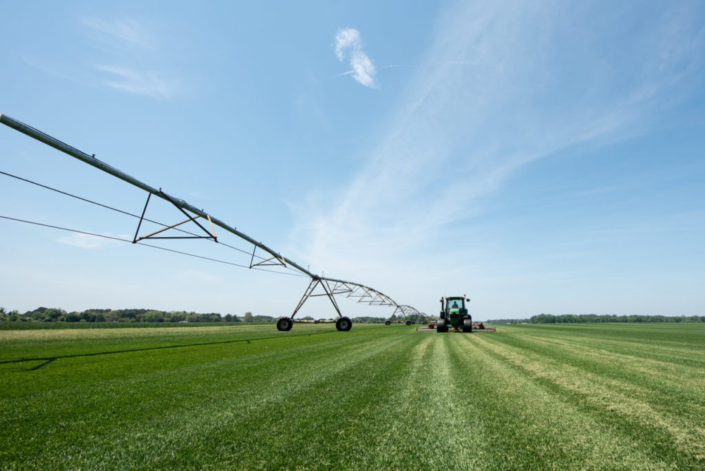 How to Properly Water Your New Sod - Quantico Creek Sod Farms